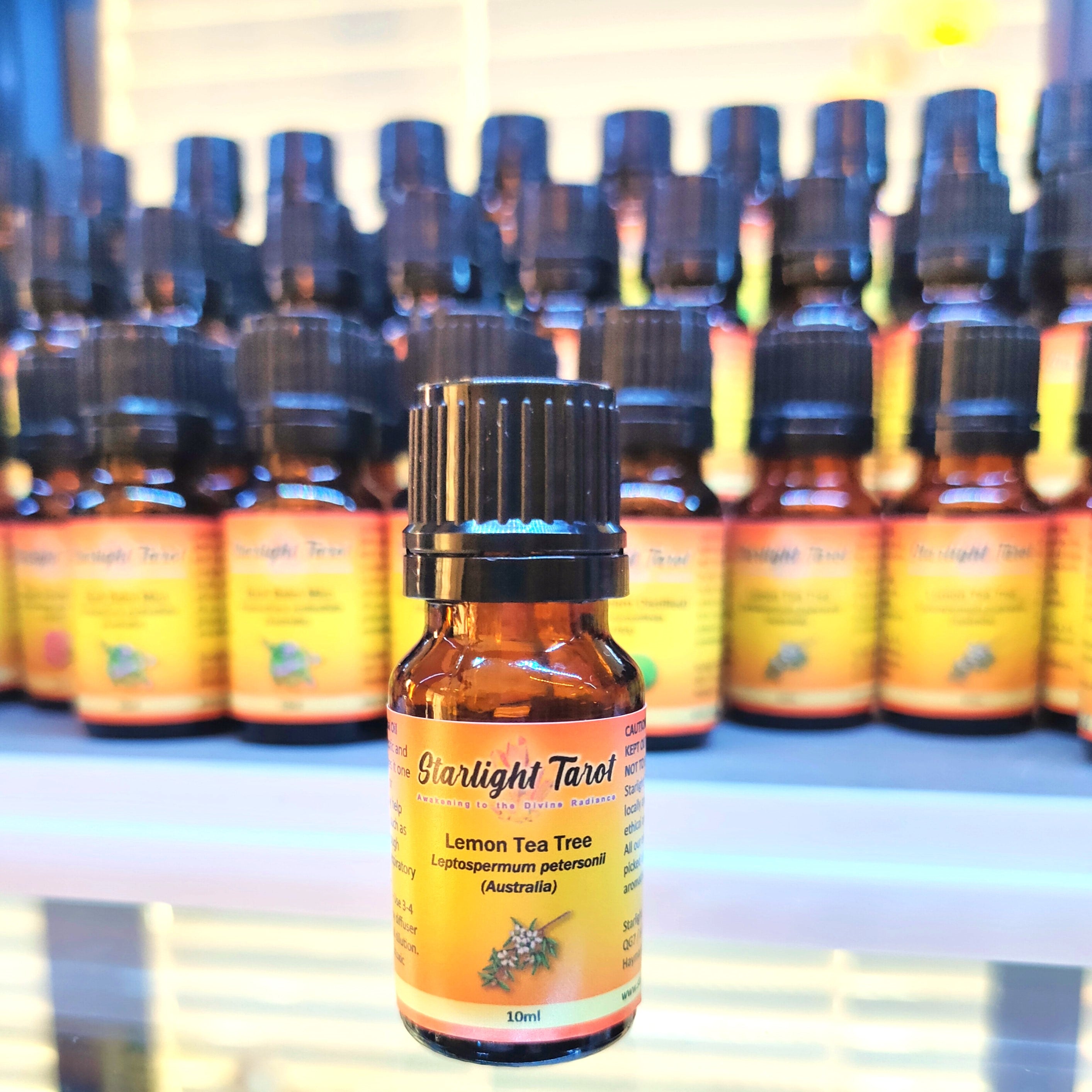 Starlight Tarot - Lemon Tea Tree Essential Oil 10ml – Starlight⭐Tarot
